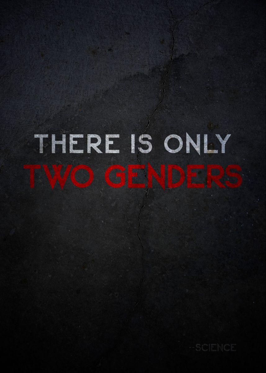 'Onle Two Genders' Poster, picture, metal print, paint by BS Design ...