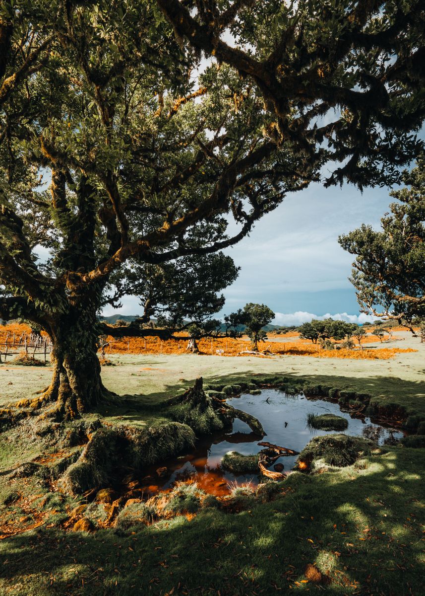 'Fanal' Poster, picture, metal print, paint by Stefan Becker | Displate