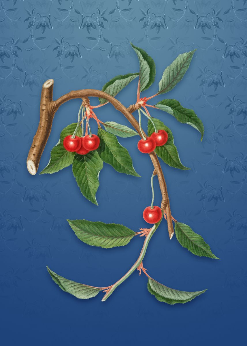 'Cherry on Bahama Blue' Poster, picture, metal print, paint by Holy ...