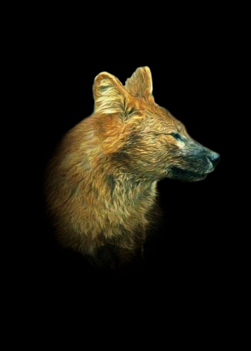 'Asian wild dog' Poster, picture, metal print, paint by Gyula Gvardián ...