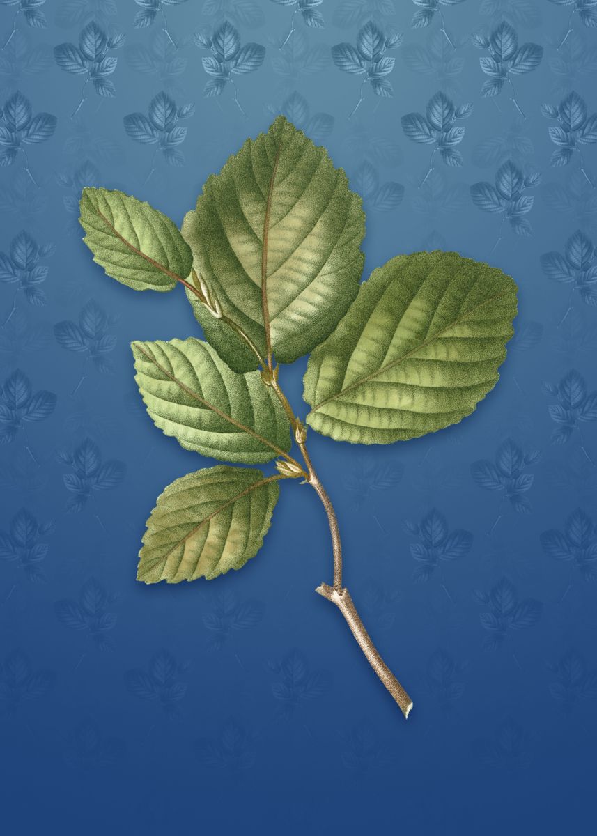 'Vintage Witch Hazel' Poster, picture, metal print, paint by Holy Rock ...