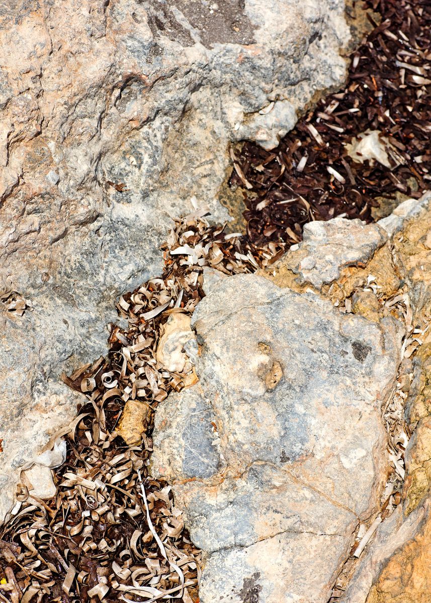 'Sea summer rocks close up ' Poster, picture, metal print, paint by ...