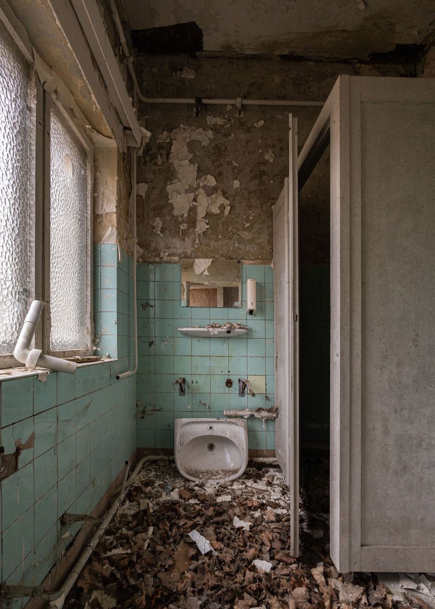 'Rotten Bathroom' Poster, picture, metal print, paint by Skanatiker ...