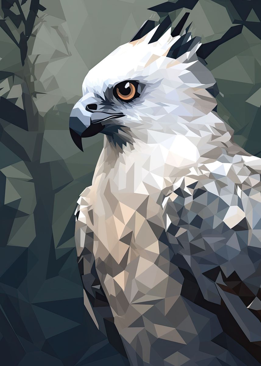 'Vector Harpy Eagle' Poster by Wolf Design Studios | Displate