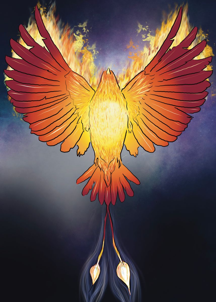 'Phoenix' Poster, picture, metal print, paint by ArtED Devrieze | Displate