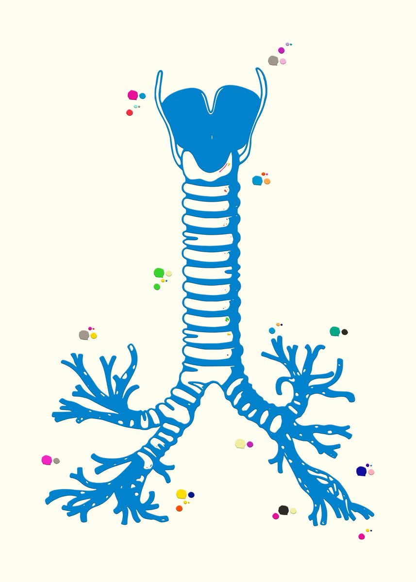 'Windpipe anatomy' Poster, picture, metal print, paint by Dutton Jerrell | Displate