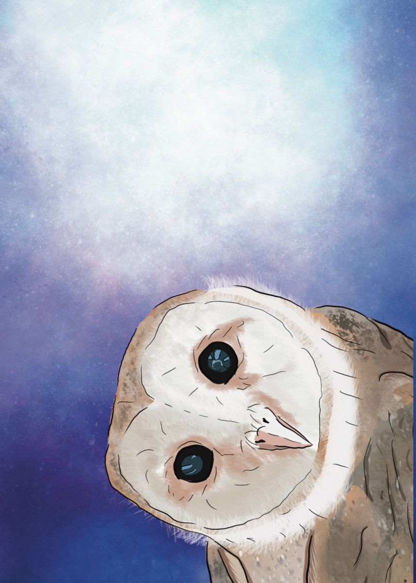 'Night owl' Poster, picture, metal print, paint by ArtED Devrieze ...