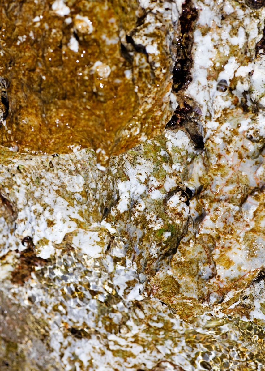 'Sea summer rocks close up ' Poster, picture, metal print, paint by ...