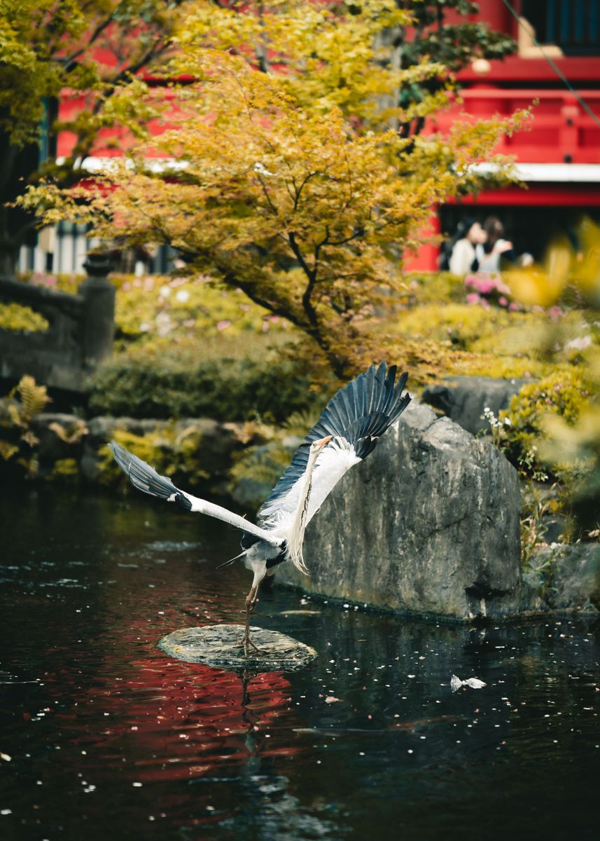 'heron' Poster, picture, metal print, paint by nicolas stempien lauff ...