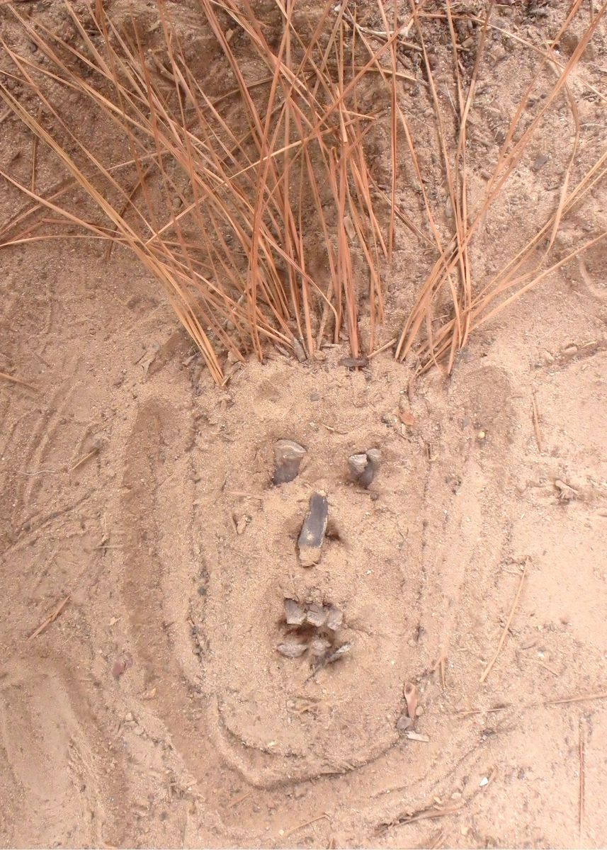 'Dirt Man' Poster, picture, metal print, paint by Jolie Bonnette | Displate