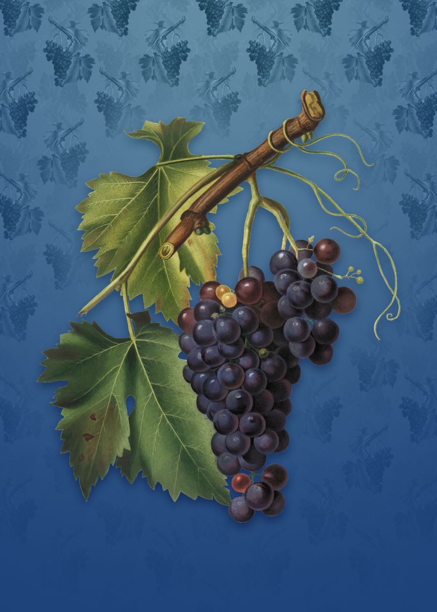 'Vintage Black Grape' Poster, picture, metal print, paint by Holy Rock ...