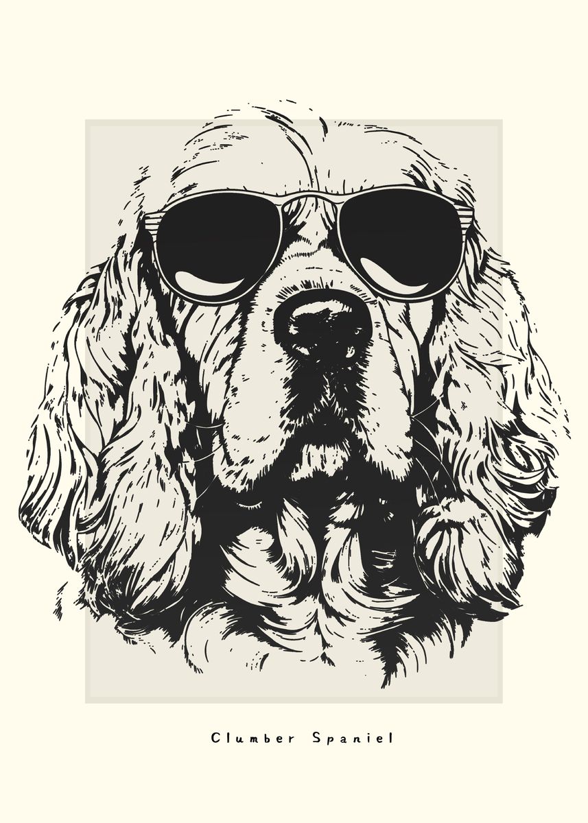 'Clumber Spaniel Sketch' Poster, picture, metal print, paint by Rafael ...