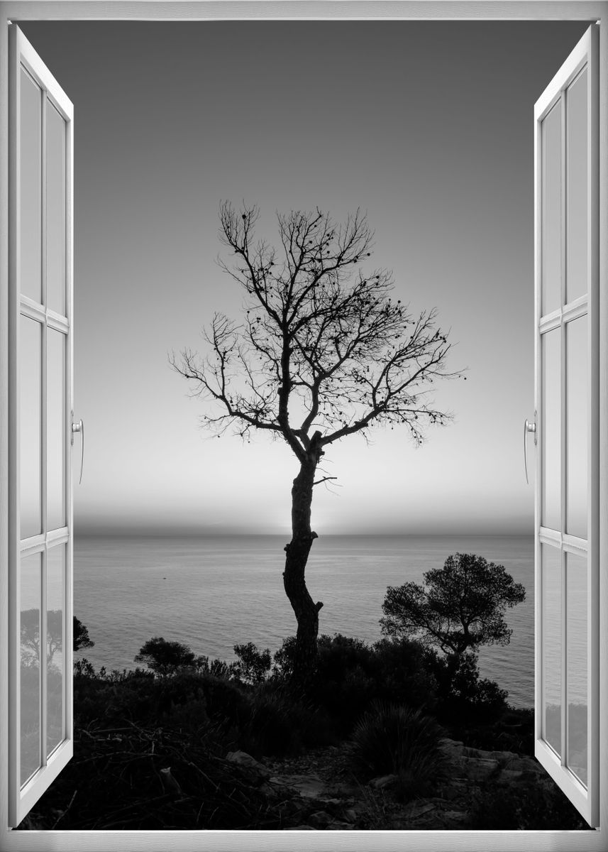 'Window view tree sea' Poster, picture, metal print, paint by Vicen ...