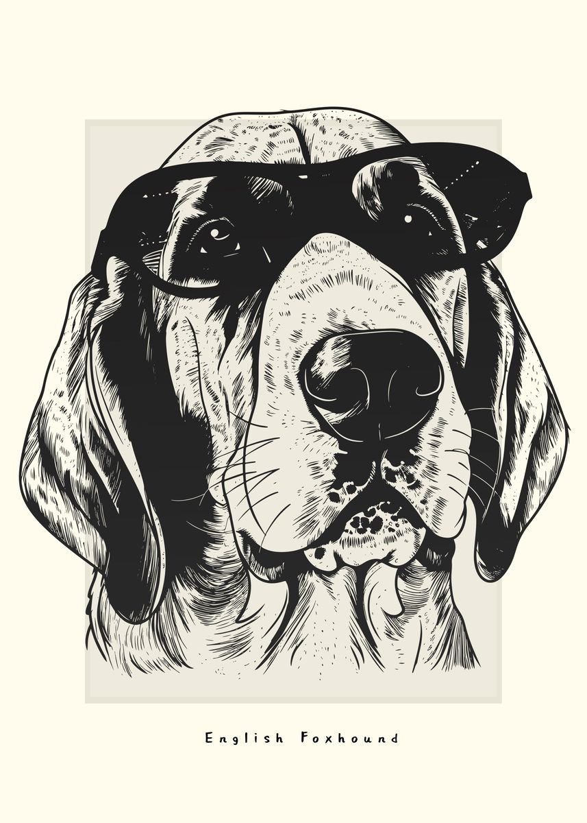 'English Foxhound Sketch' Poster, picture, metal print, paint by Rafael Dxgn | Displate