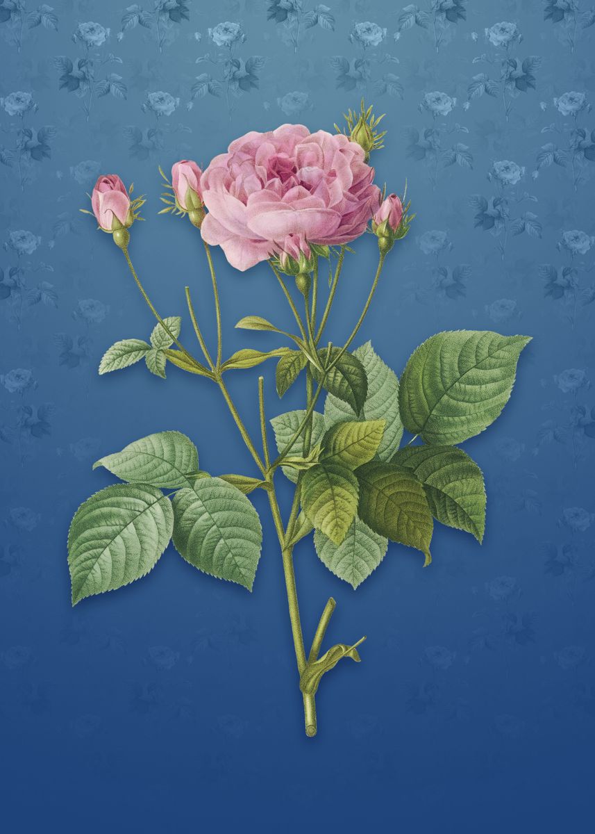 'Vintage Pink French Roses' Poster by Holy Rock Design | Displate