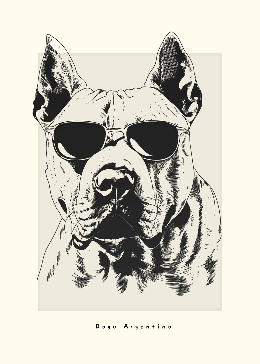 'Dogo Argentino Sketch' Poster, picture, metal print, paint by Rafael Dxgn | Displate