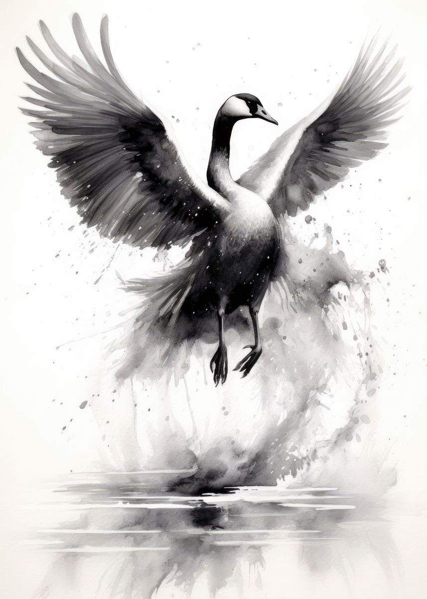 'Inked Swan Ascension' Poster, picture, metal print, paint by Ambient ...