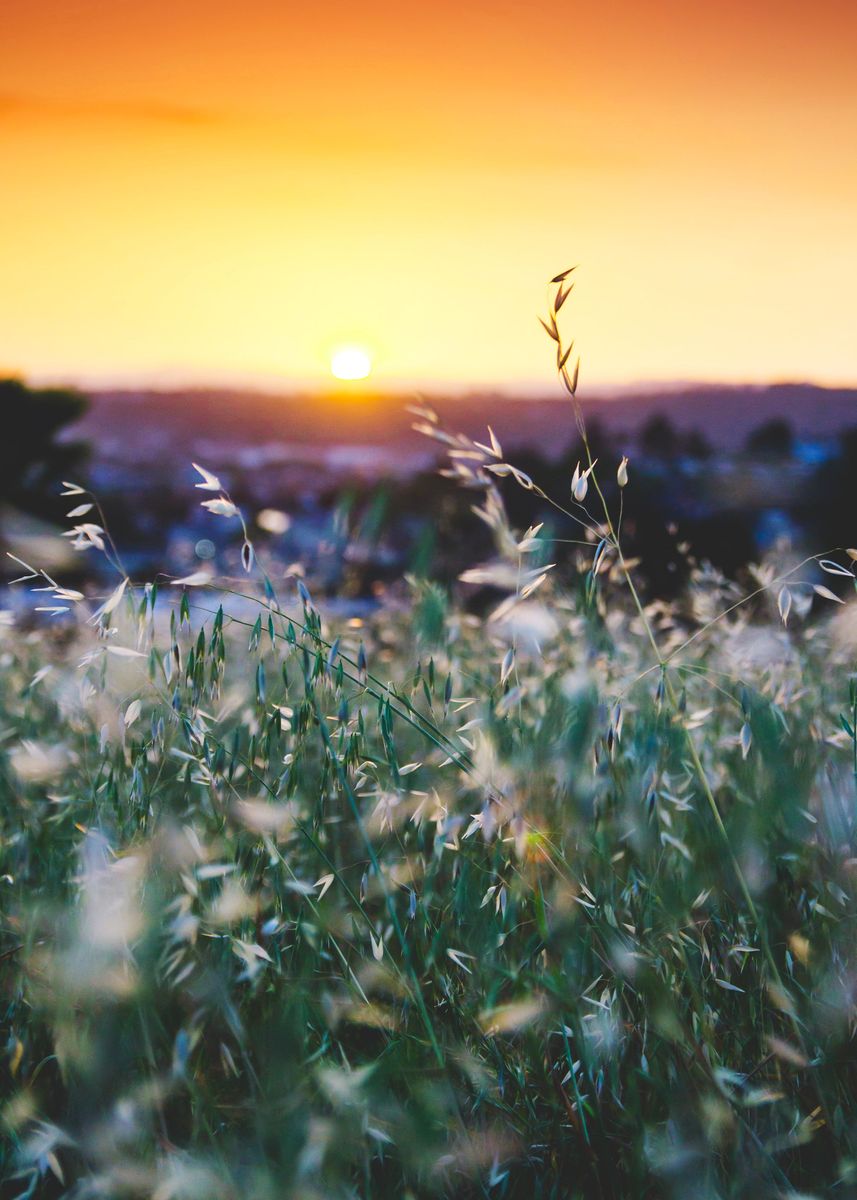 'Panorama' Poster, picture, metal print, paint by DombaHitam Studio ...