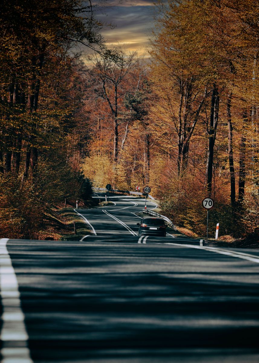 'Autumn road, trees, travel' Poster, picture, metal print, paint by ...