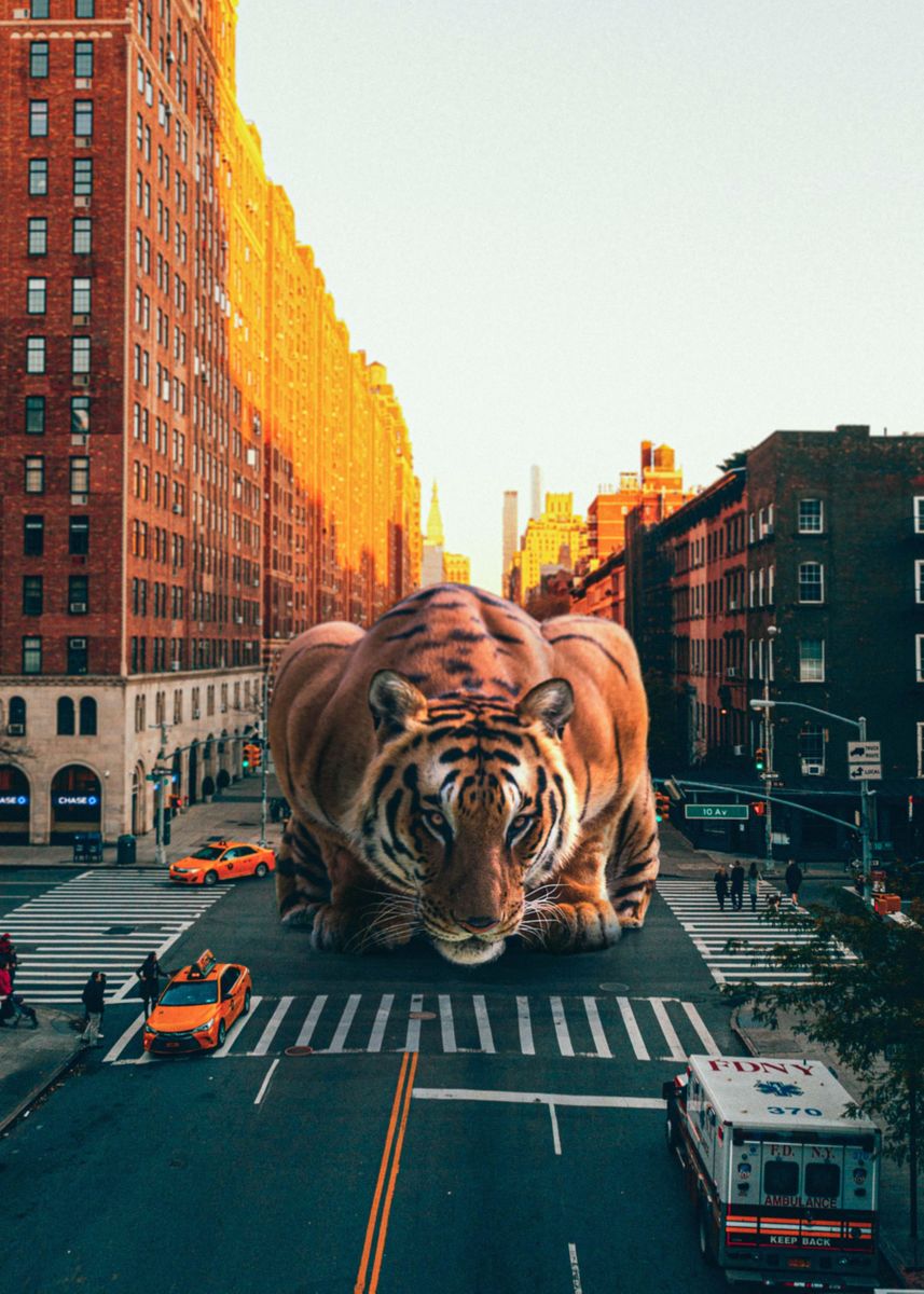 'Tiger in the city' Poster by Sam Brady | Displate