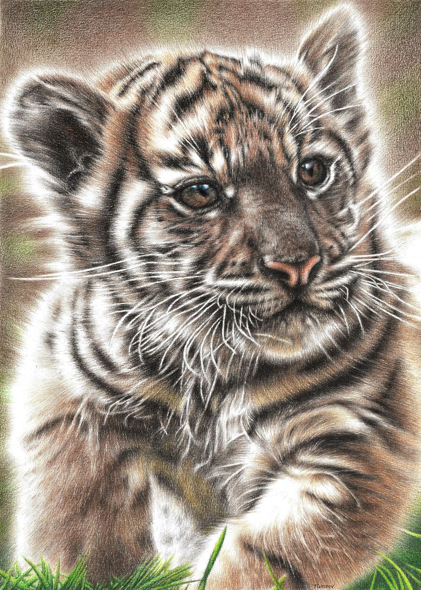 'Tiger Cub' Poster, picture, metal print, paint by Casey Remrov Vormer ...