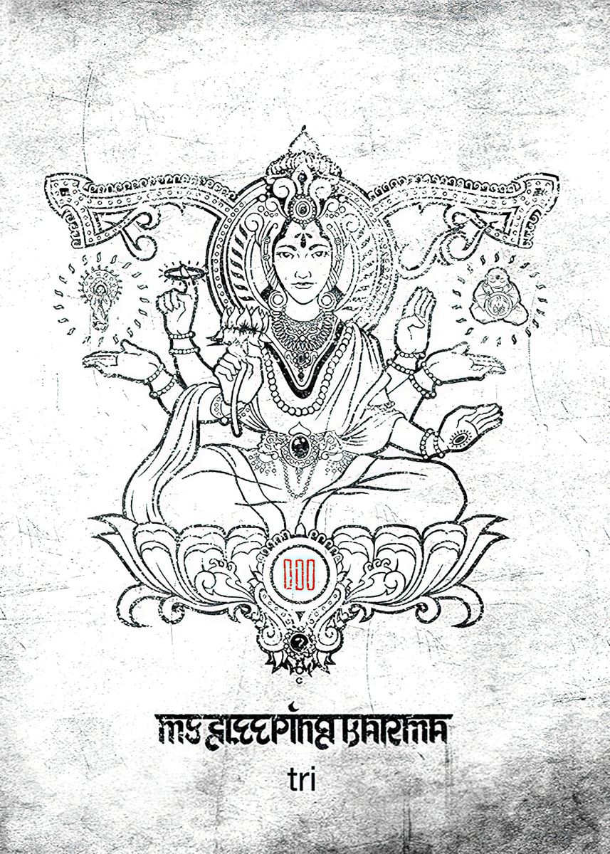 'My Sleeping Karma' Poster, picture, metal print, paint by Hiruka ...