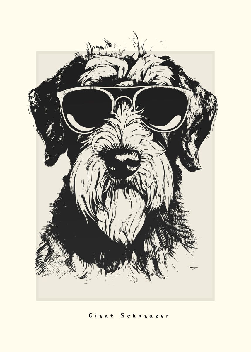 'Giant Schnauzer Sketch' Poster, picture, metal print, paint by Rafael ...