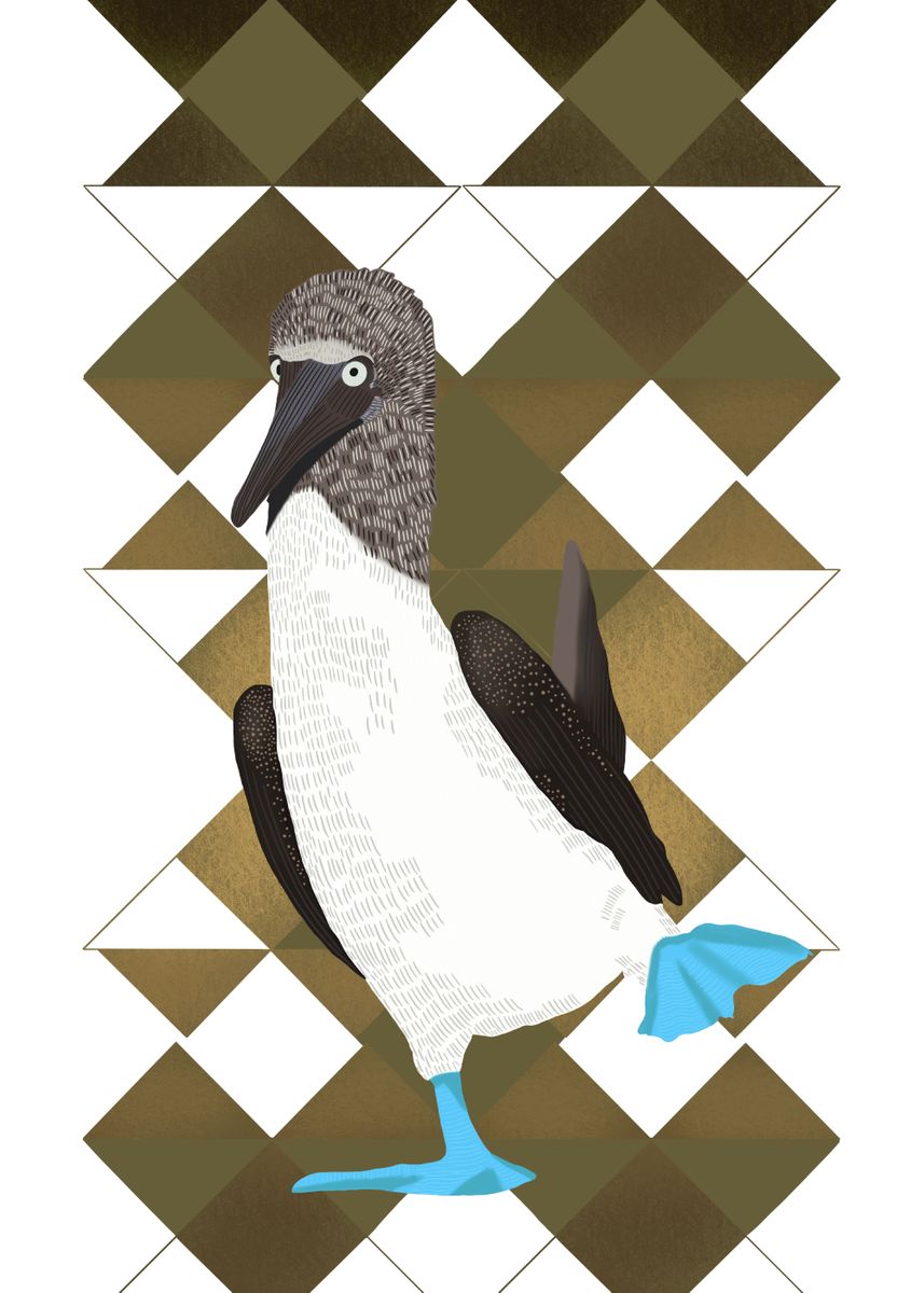'Blue Footed Booby Bird' Poster by Sunette Shepperson | Displate