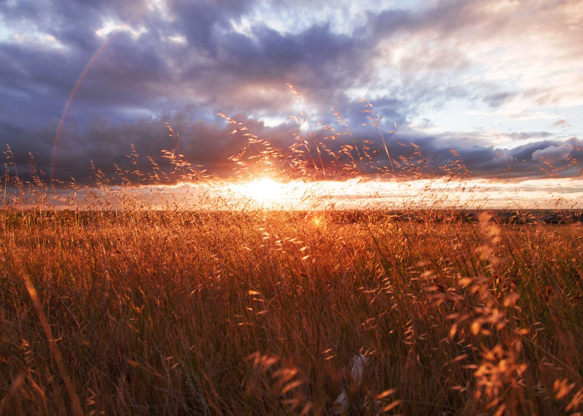 'Sunrise poster' Poster by Rijis Art | Displate