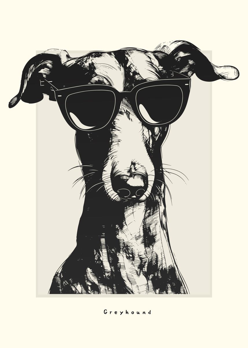 'Greyhound Illustration' Poster, picture, metal print, paint by Rafael Dxgn | Displate