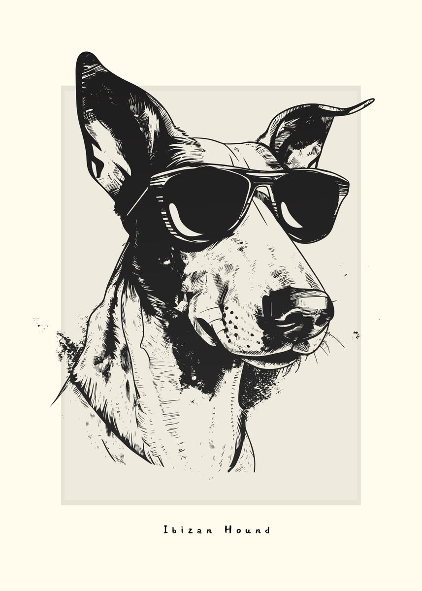 'Ibizan Hound Illustration' Poster, picture, metal print, paint by Rafael Dxgn | Displate
