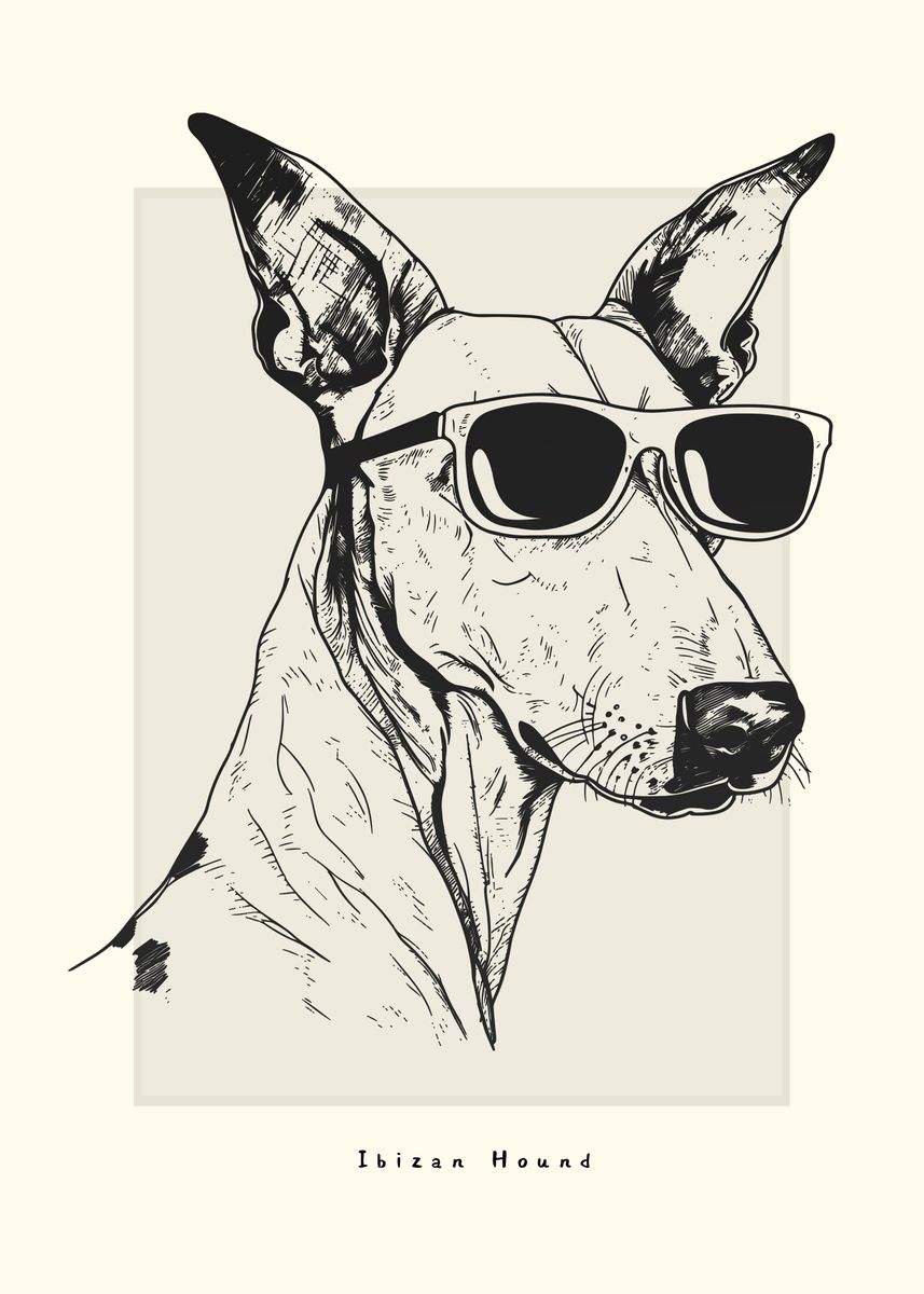 'Ibizan Hound Illustration' Poster, picture, metal print, paint by Rafael Dxgn | Displate