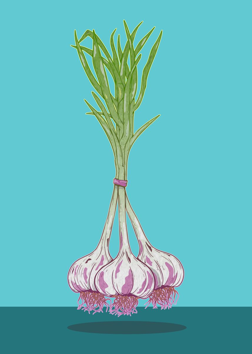 'Garlic' Poster, picture, metal print, paint by mailbox disco | Displate