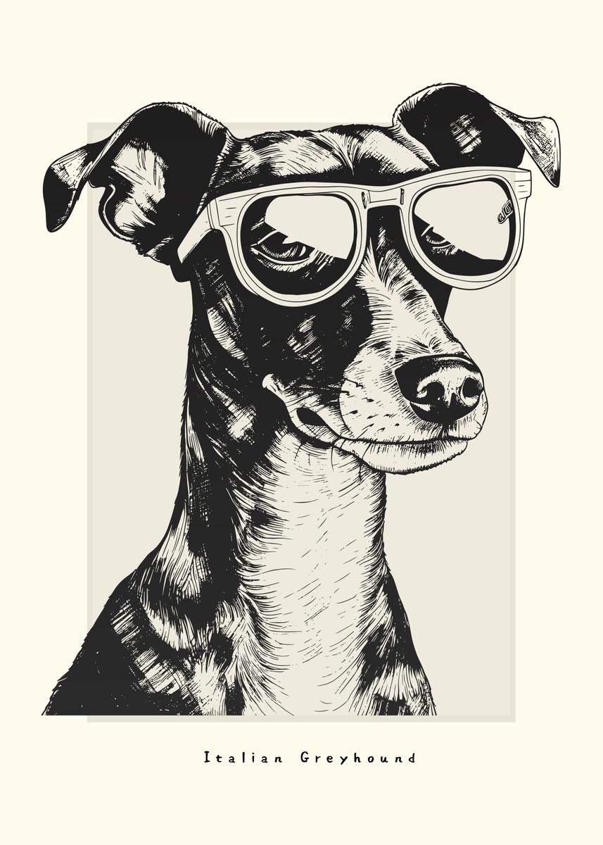 'Italian Greyhound Sketch' Poster, picture, metal print, paint by Rafael Dxgn | Displate