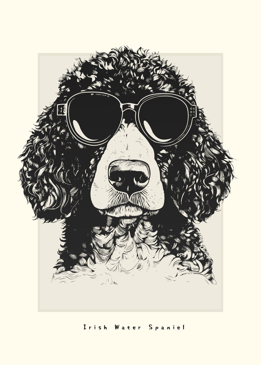 'Irish Water Spaniel Sketch' Poster by Rafael Dxgn | Displate