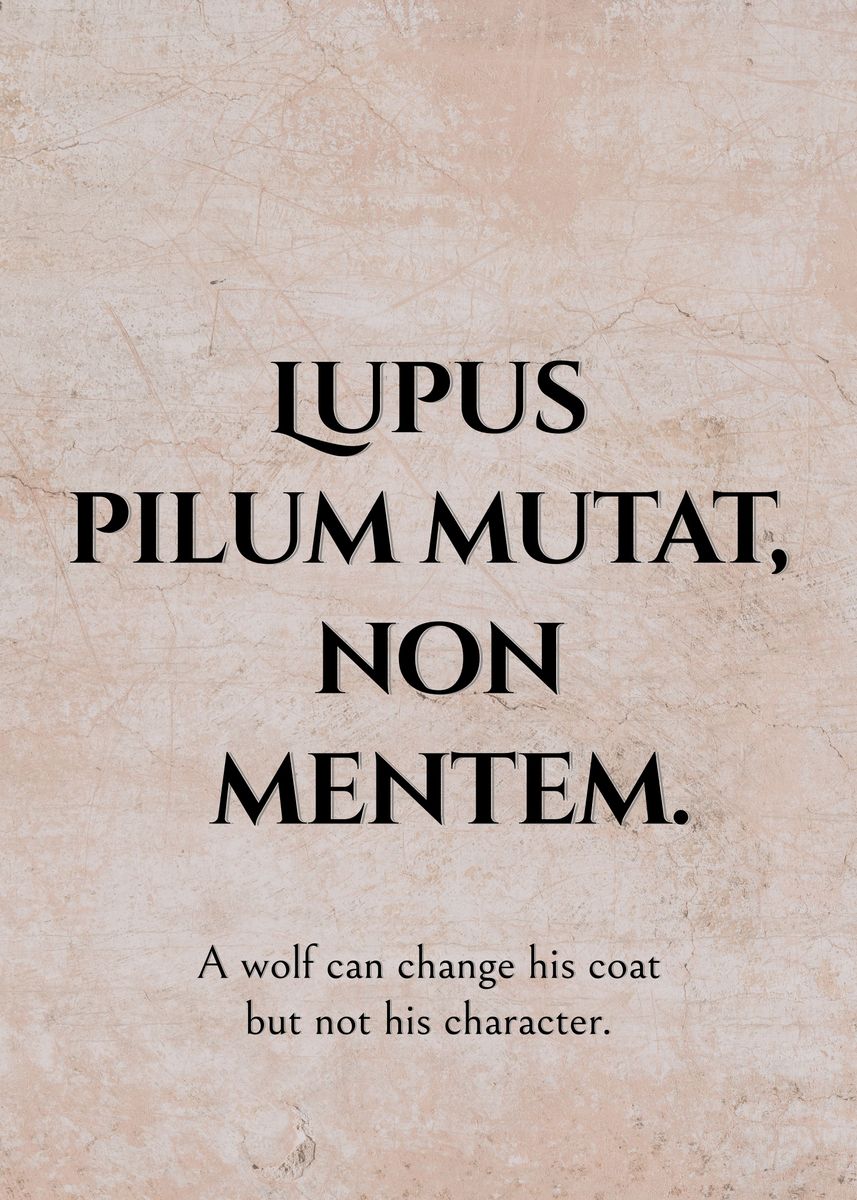 'Latin Quote Character' Poster, picture, metal print, paint by Jovana ...