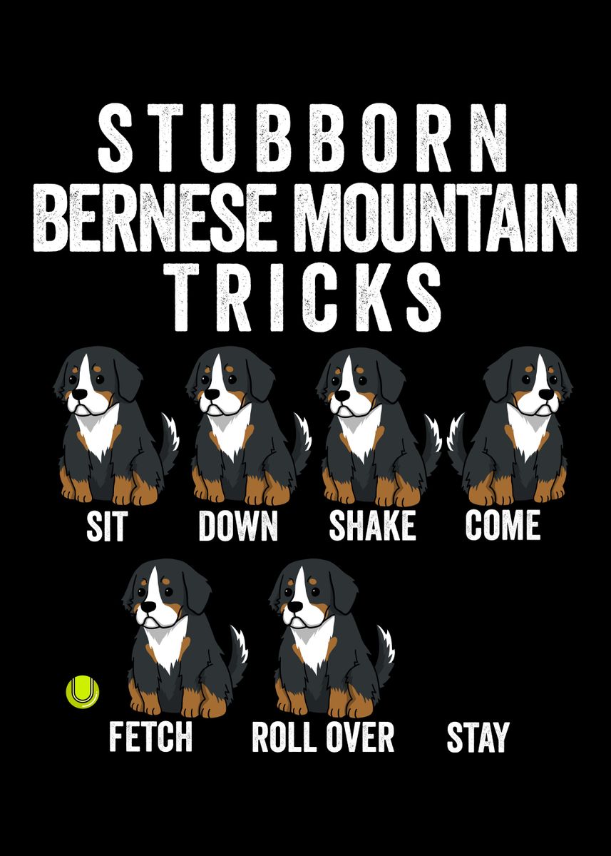'Bernese Mountain Tricks' Poster, picture, metal print, paint by PetPrints | Displate