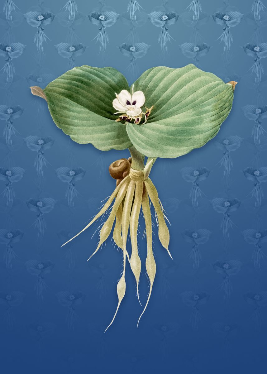 'Vintage Sand Ginger' Poster, picture, metal print, paint by Holy Rock ...