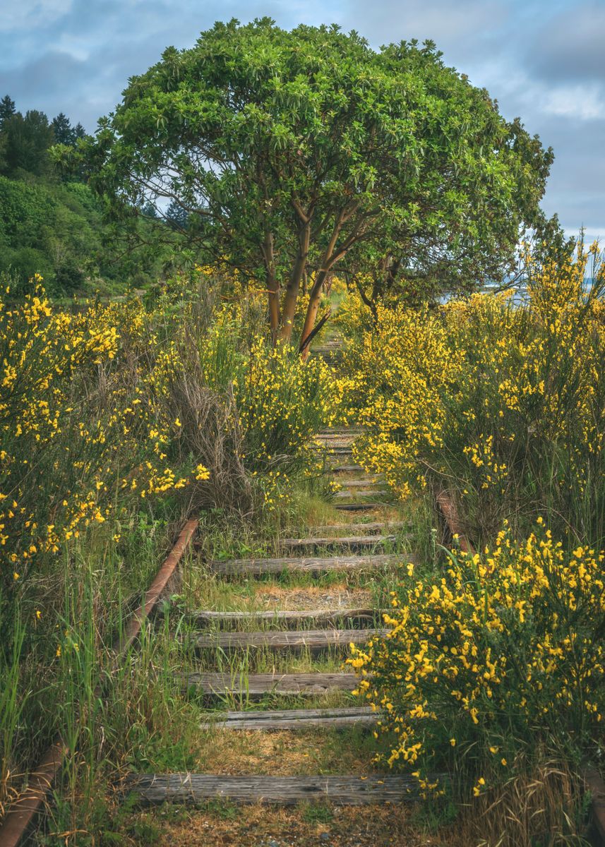 'The embrace of nature' Poster, picture, metal print, paint by Louis ...