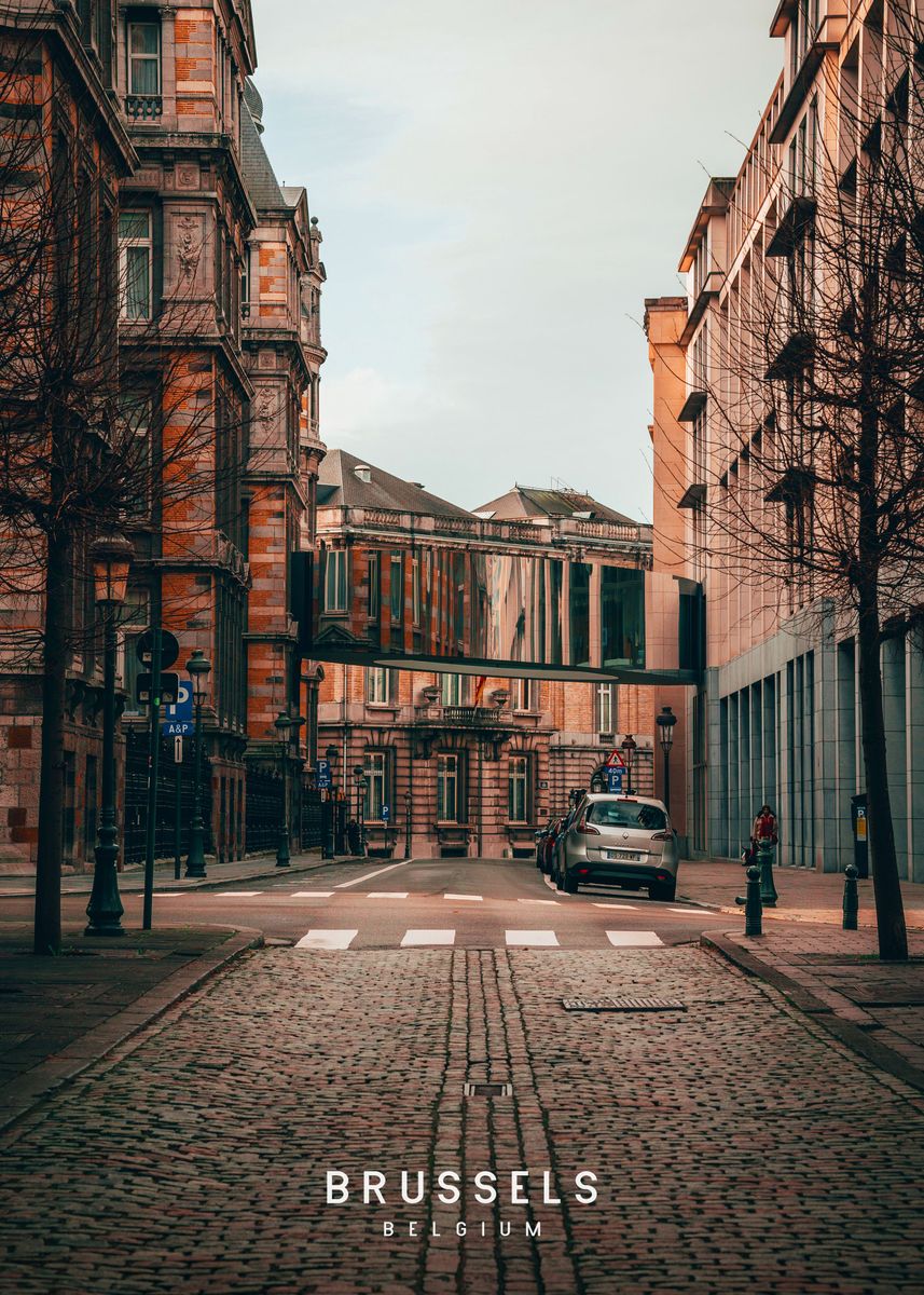 'Brussels ' Poster, picture, metal print, paint by Big City | Displate