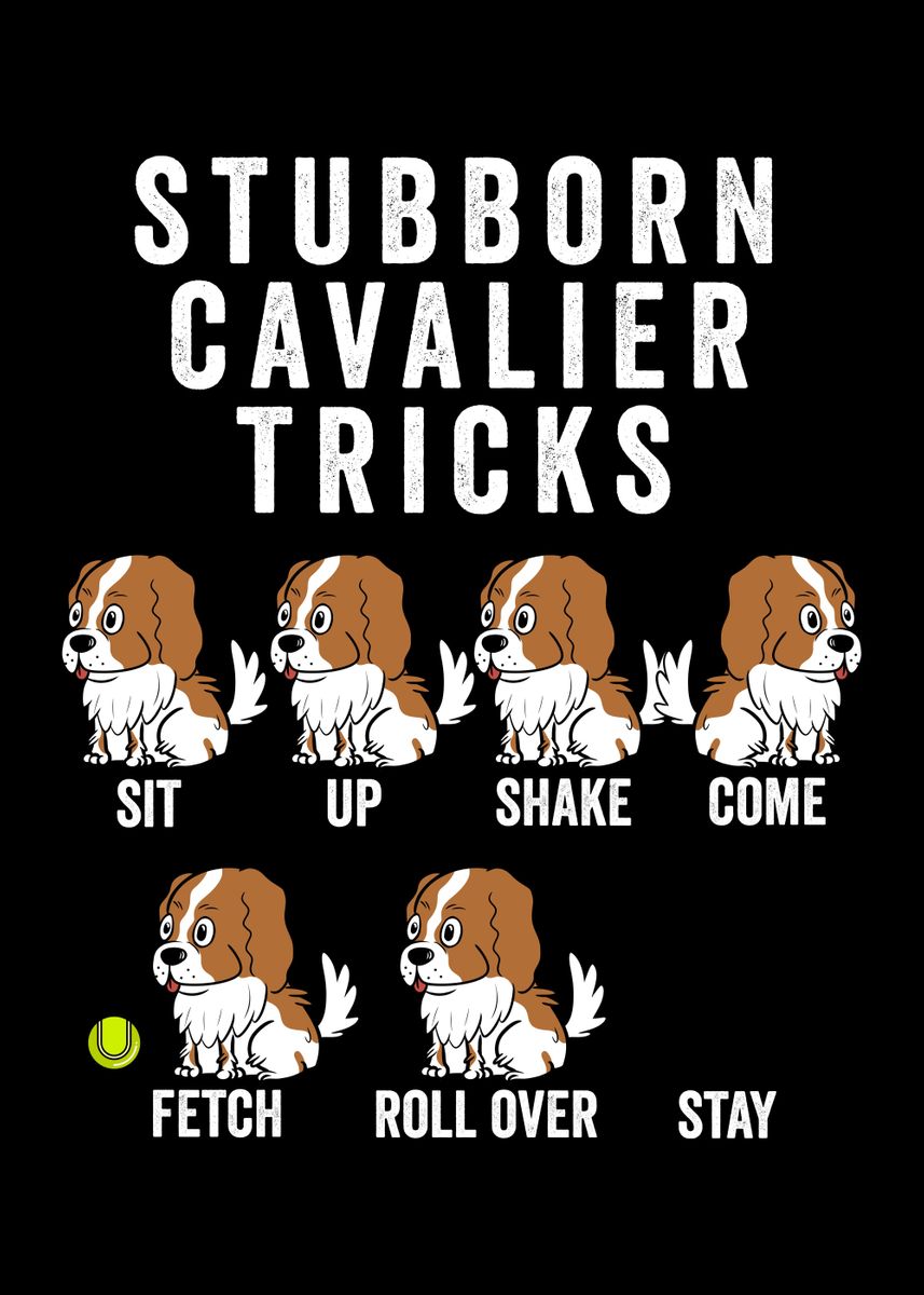'Stubborn Cavalier Tricks ' Poster, picture, metal print, paint by ...