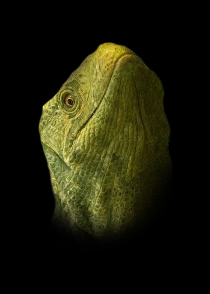 'Monitor lizard' Poster, picture, metal print, paint by Gyula Gvardián ...