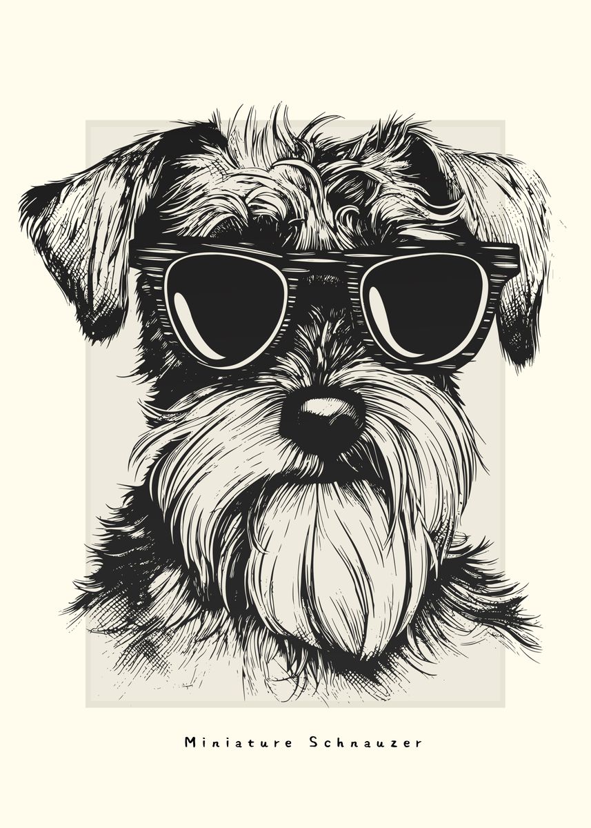 'Miniature Schnauzer Sketch' Poster, picture, metal print, paint by ...