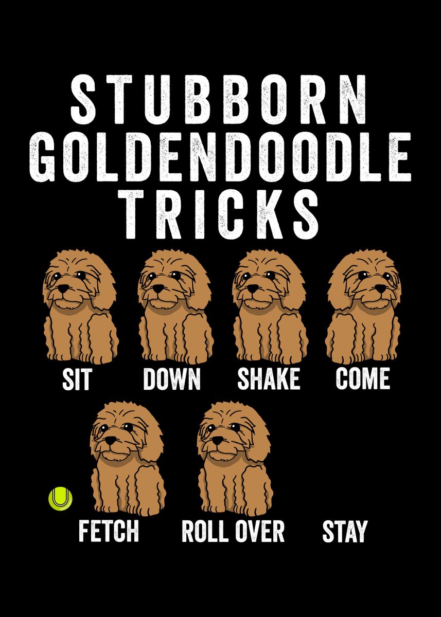 'Goldendoodle Tricks' Poster, picture, metal print, paint by PetPrints ...