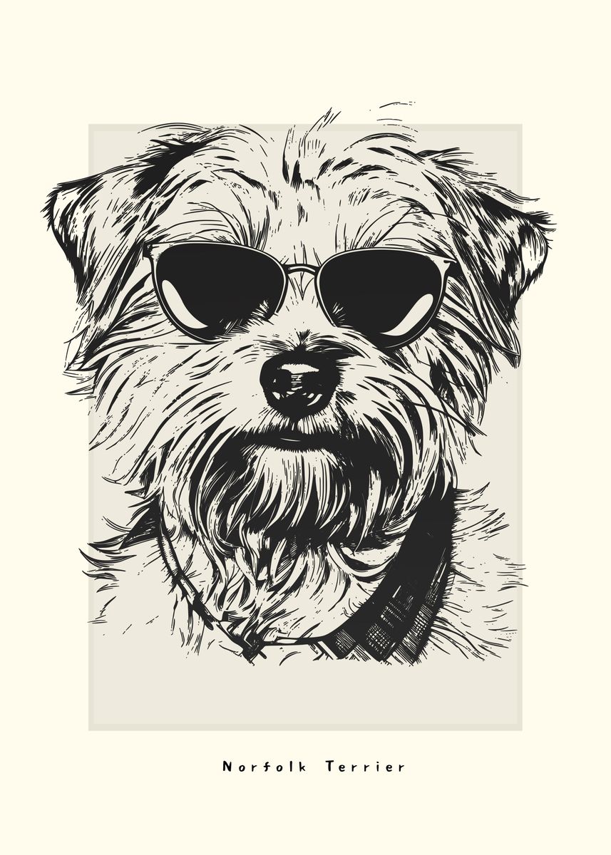 'Norfolk Terrier Sketch' Poster, picture, metal print, paint by Rafael ...