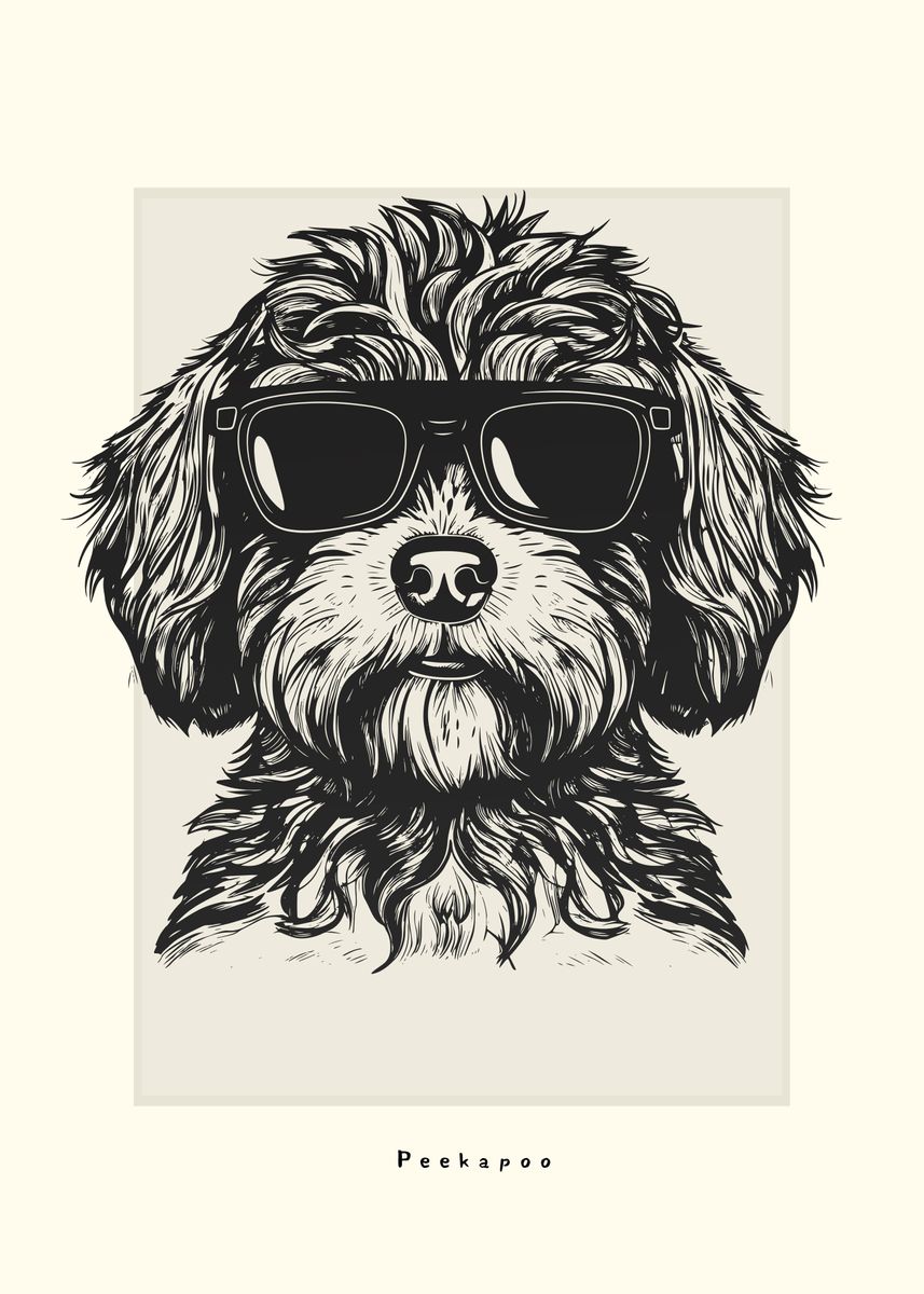 'Peekapoo Illustration' Poster, picture, metal print, paint by Rafael ...