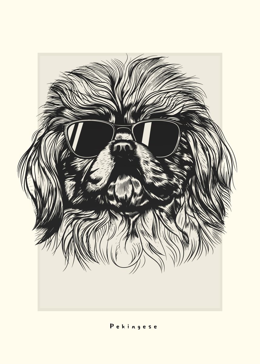 'Pekingese Illustration' Poster, picture, metal print, paint by Rafael ...