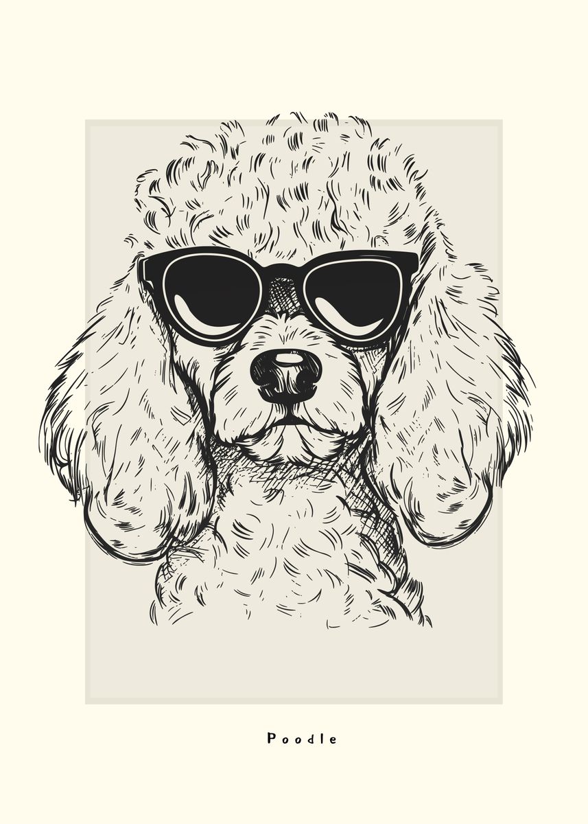 'Poodle Illustration' Poster, picture, metal print, paint by Rafael ...