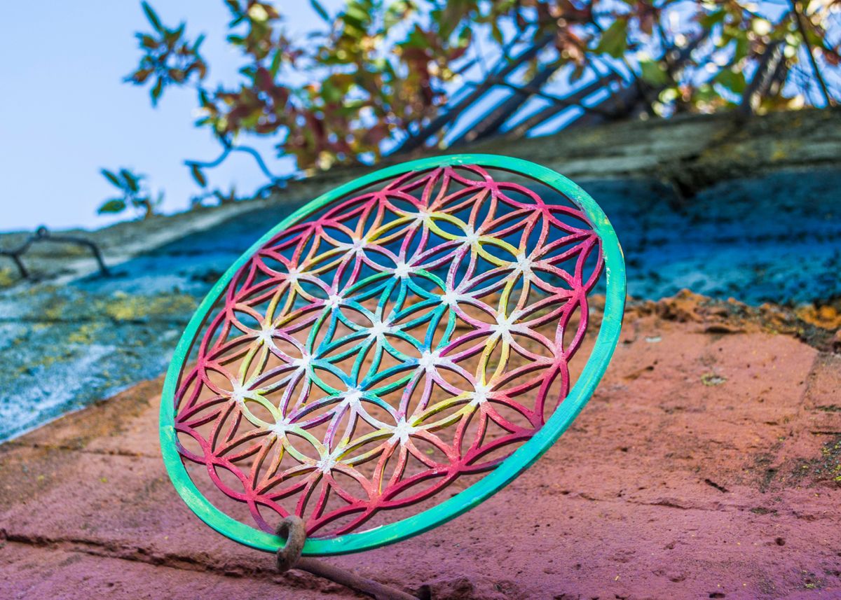 'colorful Flower of life' Poster by Anil Gamble | Displate
