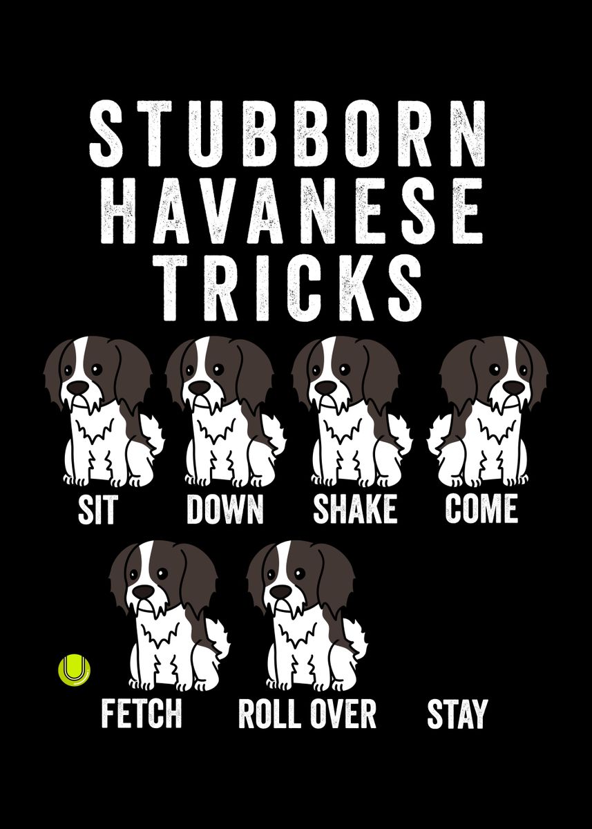 'Stubborn Havanese Tricks ' Poster, picture, metal print, paint by PetPrints | Displate